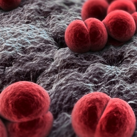 Pneumococco, Italia Longeva apre alla vaccinazione in farmacia